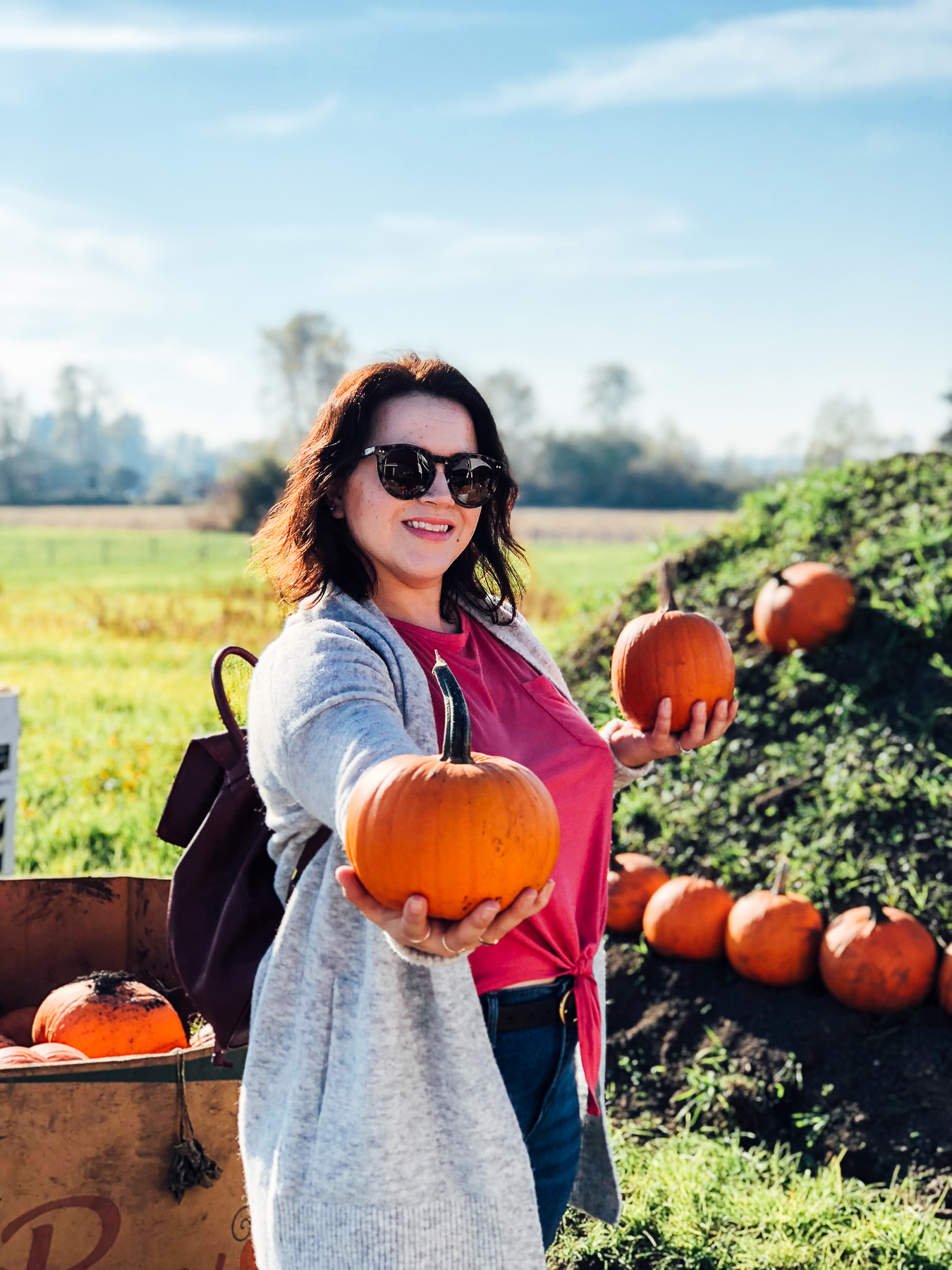 A Sunday Afternoon at a Pumpkin Patch